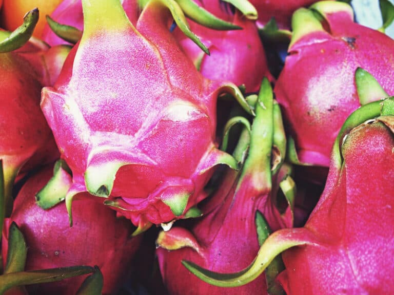 Is Dragon Fruit Skin Poisonous